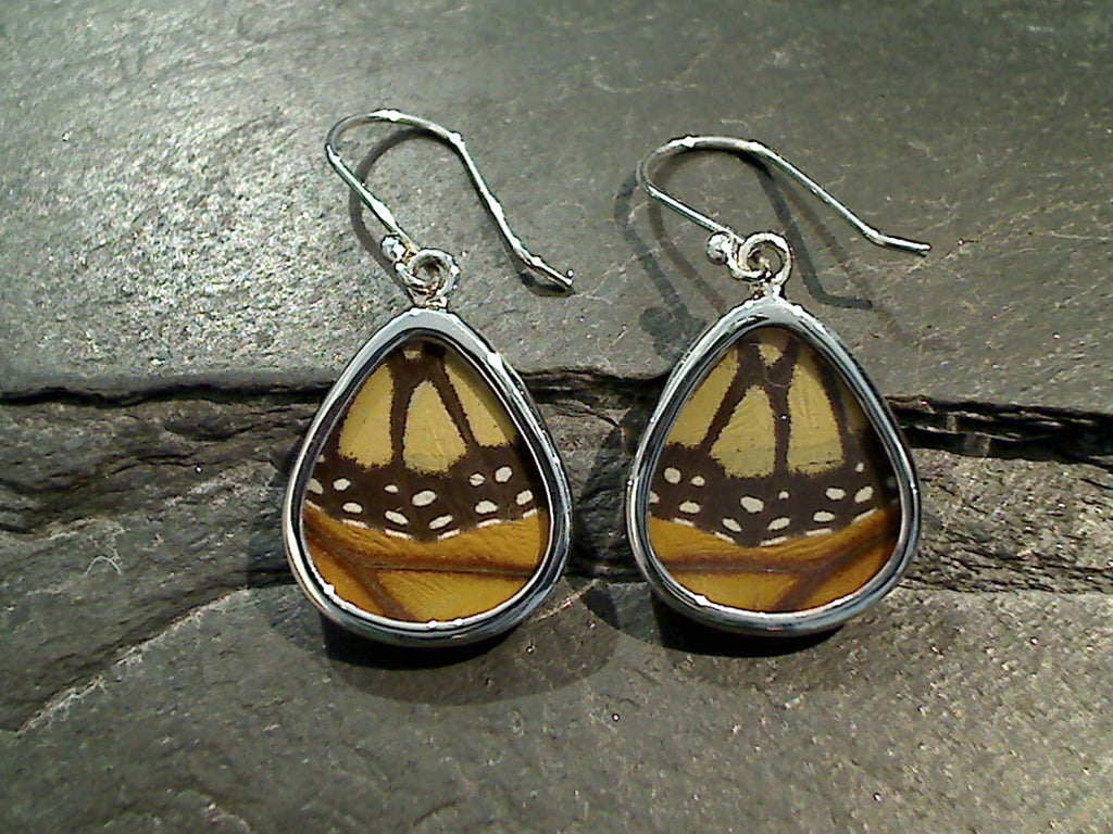 Butterfly Wings, Sterling Silver Earrings - Monarch – The Mystic Jewel